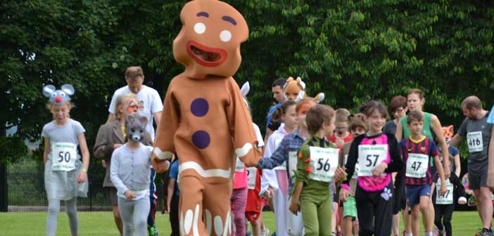 Chasing the Gingerbread Man