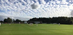 Grappenhall lost by 83 runs - largely due to one man! - Warrington ...