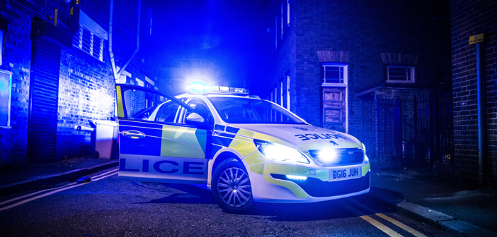 Police make five arrests including domestic violence-related assaults