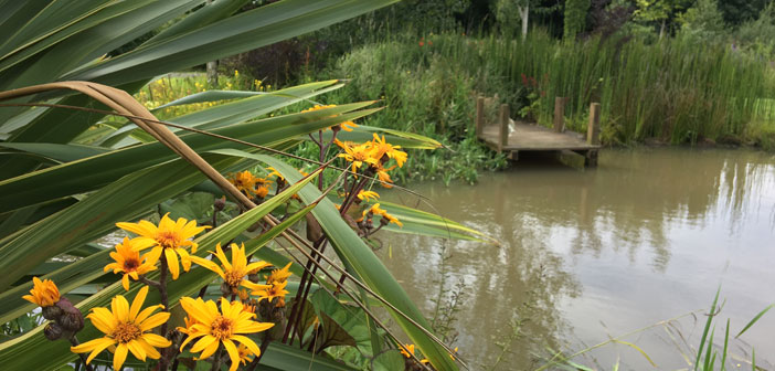 Dingle Farm opens gardens for charity