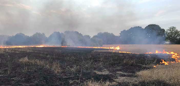Firefighters tackle large crop fire - Warrington Worldwide