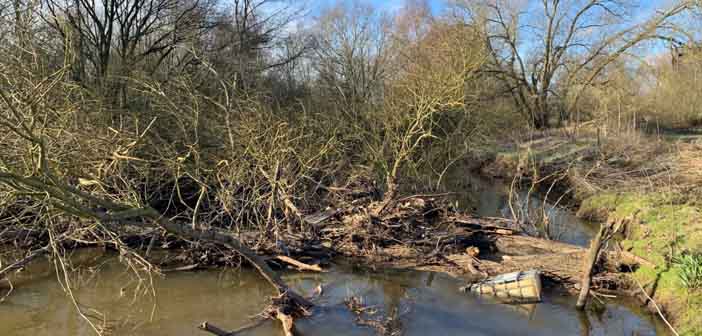 Calls for urgent review of flooding defences along River Bollin at Lymm