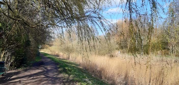 Large group of youths meeting after school dispersed from Woolston Park