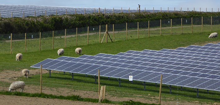 Lymm Solar Farm – Your Questions Answered - Warrington Worldwide
