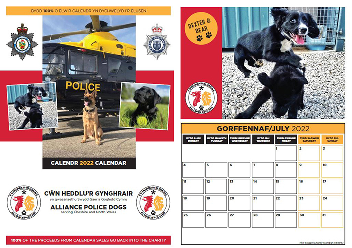 Police Dogs pose for charity calendar - Warrington Worldwide