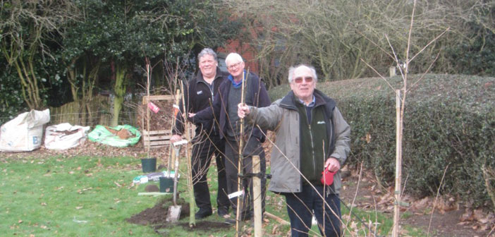 New trees planted at Appleton Thorn Village Hall