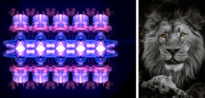 New exhibition by students explores escapism through a lens