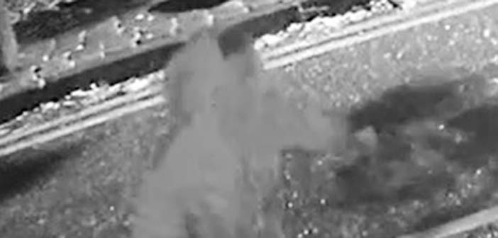Police issue CCTV image following attempted hammer attack at Lymm