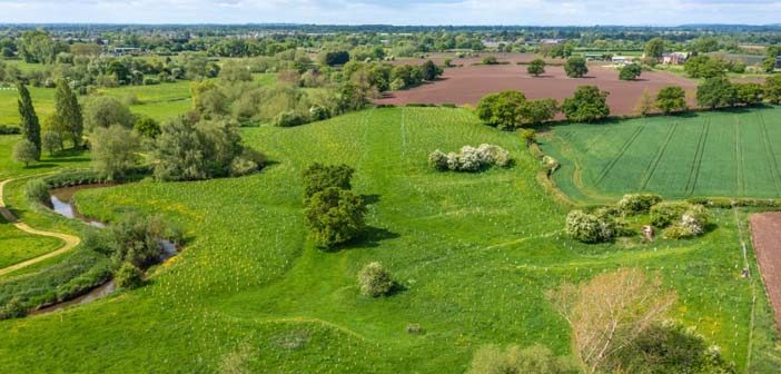 New £4 million funding boost for Mersey Forest woodland creation ...