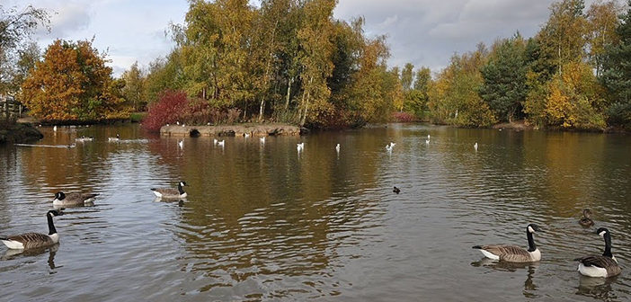 Chance for family fun at Whittle Hall Environment Day - Warrington ...