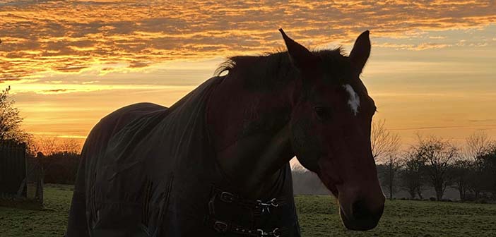 Stunning sunsets over Warrington with Spring in the air
