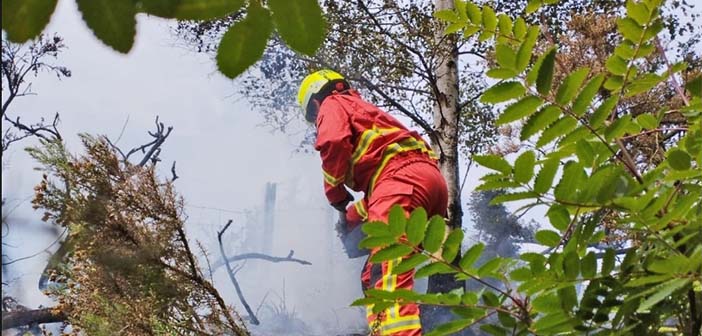 Firefighters tackle several deliberate fires in the open including an ...