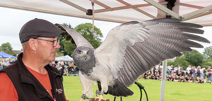 Winwick Carnival 2023 in pictures - Warrington Worldwide