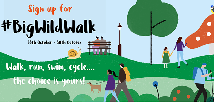 Go wild this autumn and get active for nature with Big Wild Walk