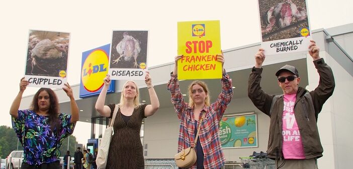 Animal rights protest as new Lidl store opens in Warrington