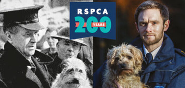 More than 6,000 animals rehomed by the RSPCA across Cheshire in last decade