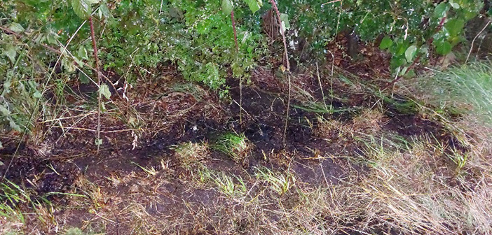 Deliberate roadside fire took 40 minutes to put out - Warrington Worldwide