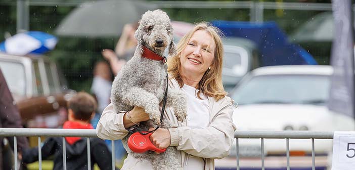 It's a dog's life at Winwick Carnival - Warrington Worldwide