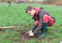 More trees for Spud Wood
